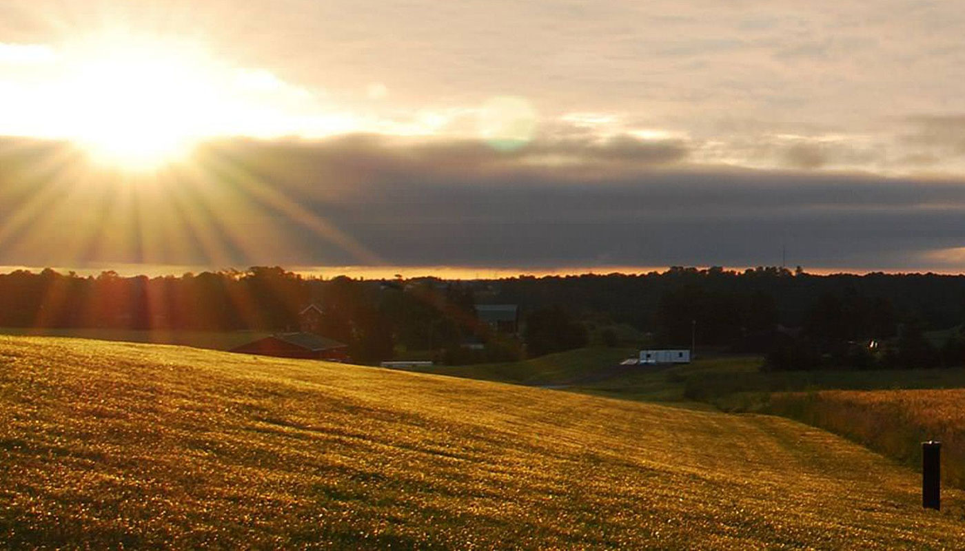 Brant County - Chestnut Park West